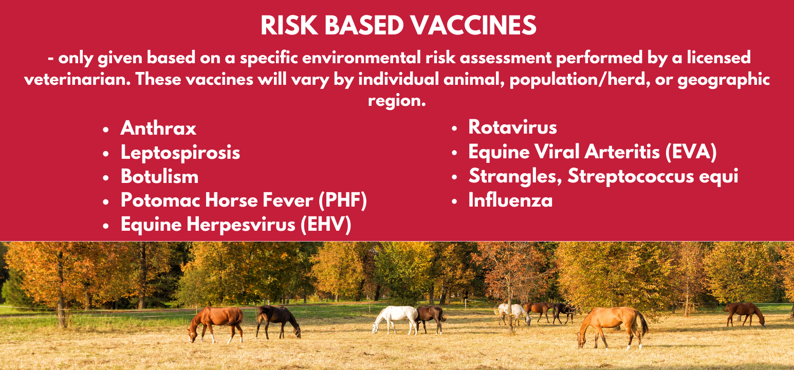 Equine Vaccinations | Elevated Equine