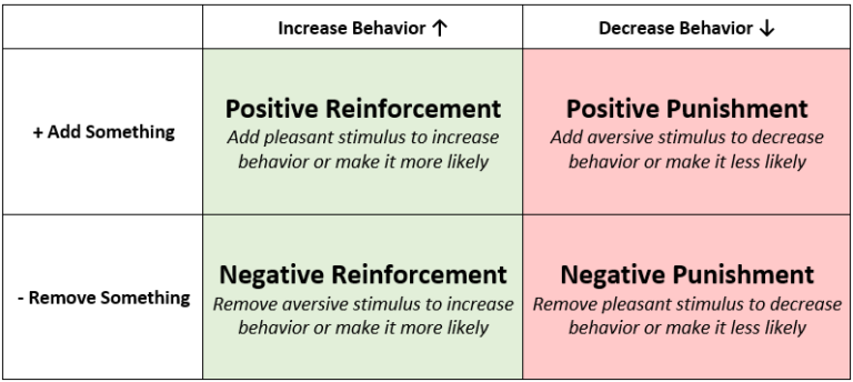 How Horses Learn: A Case for Operant Conditioning | Elevated Equine